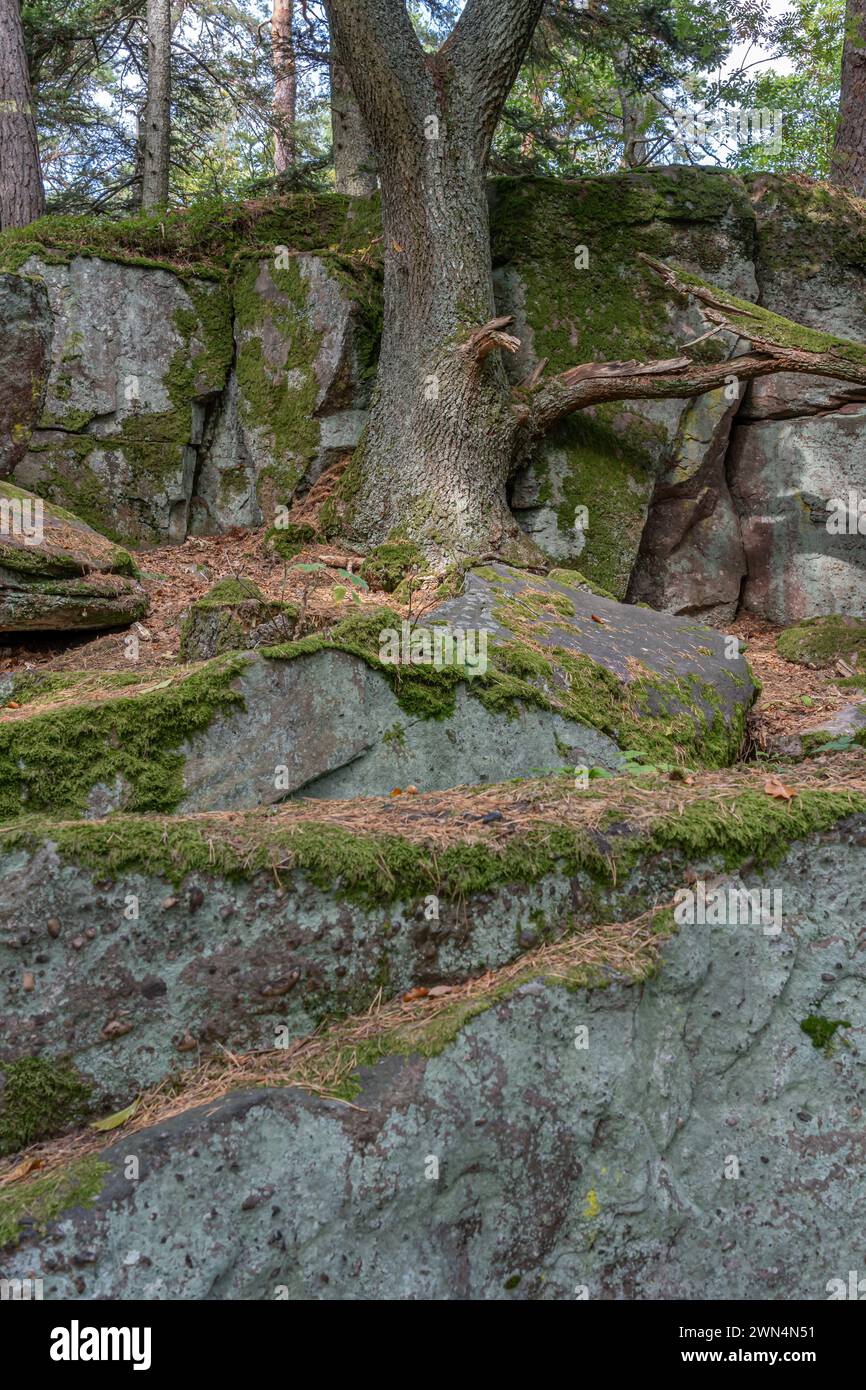 Path of the Gauls. View of rocks and trees Stock Photo - Alamy