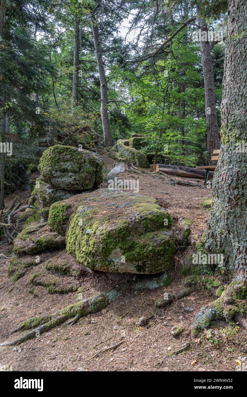 Path of the Gauls. View of rocks and trees Stock Photo - Alamy
