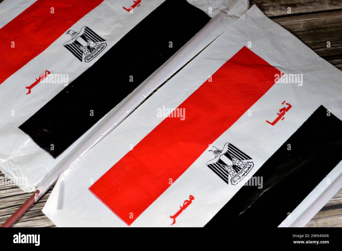 Translation of Arabic (long live Egypt), The national flag of Egypt, a ...