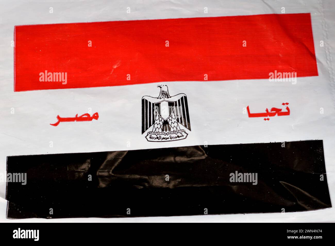 Translation of Arabic (long live Egypt), The national flag of Egypt, a ...