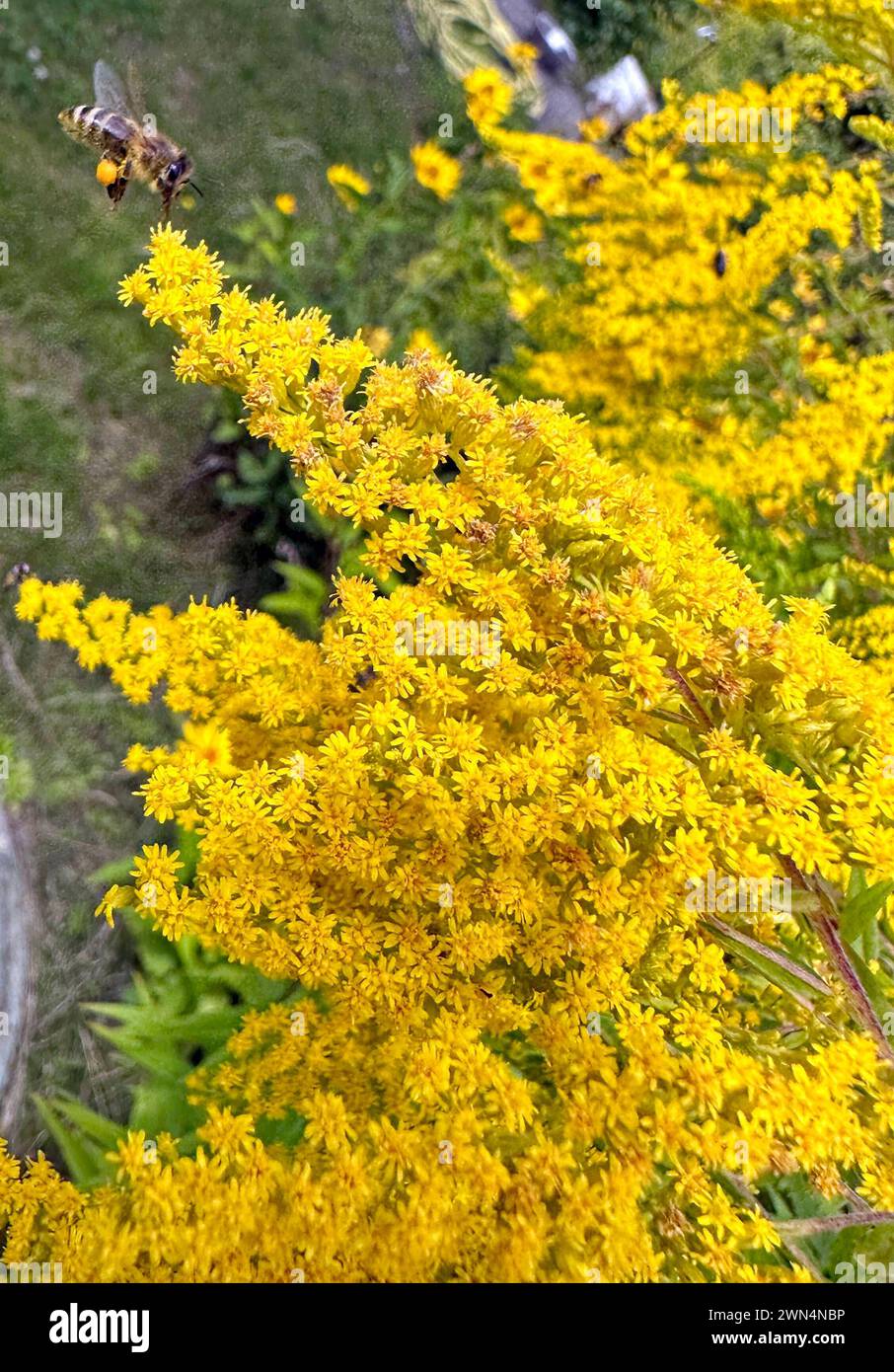 230812d044berlin hi-res stock photography and images - Alamy