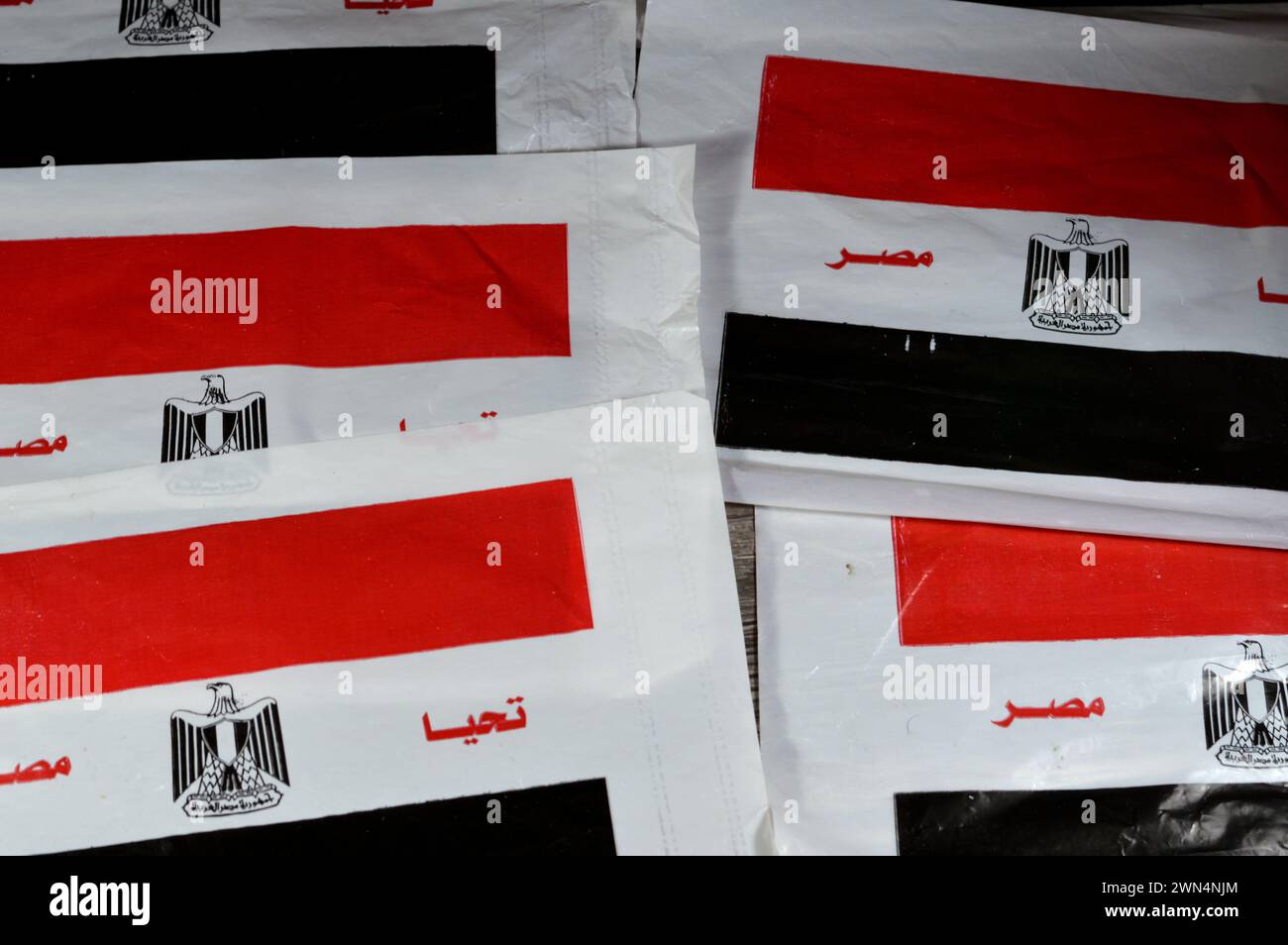 Translation of Arabic (long live Egypt), The national flag of Egypt, a ...