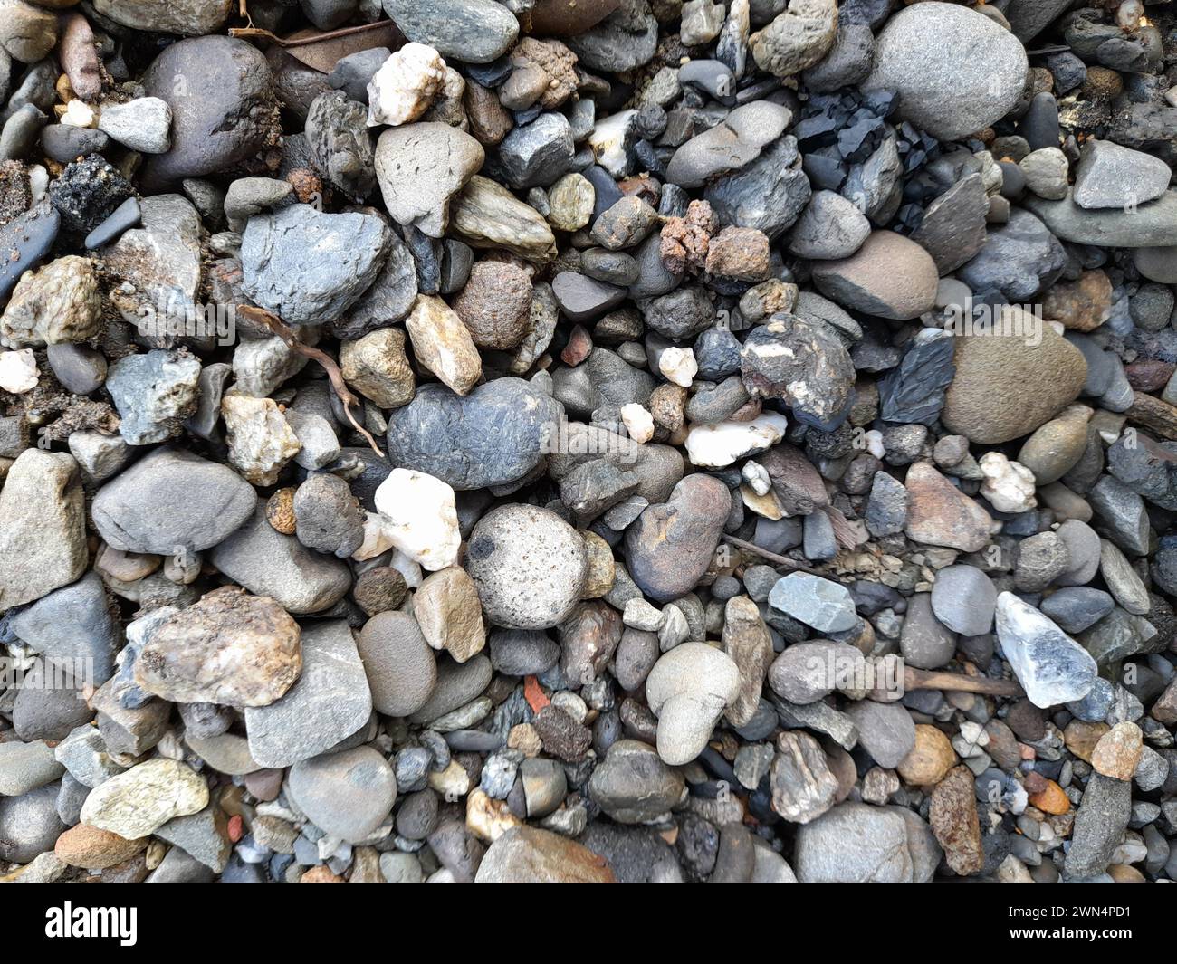 Beautiful gravel surface wet from rain. Gravel background for design ...