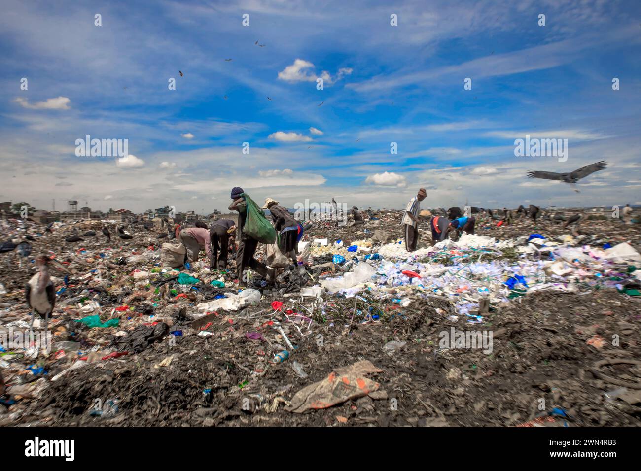 Waste collectors scavenge for recyclable products at the dumpsite ...