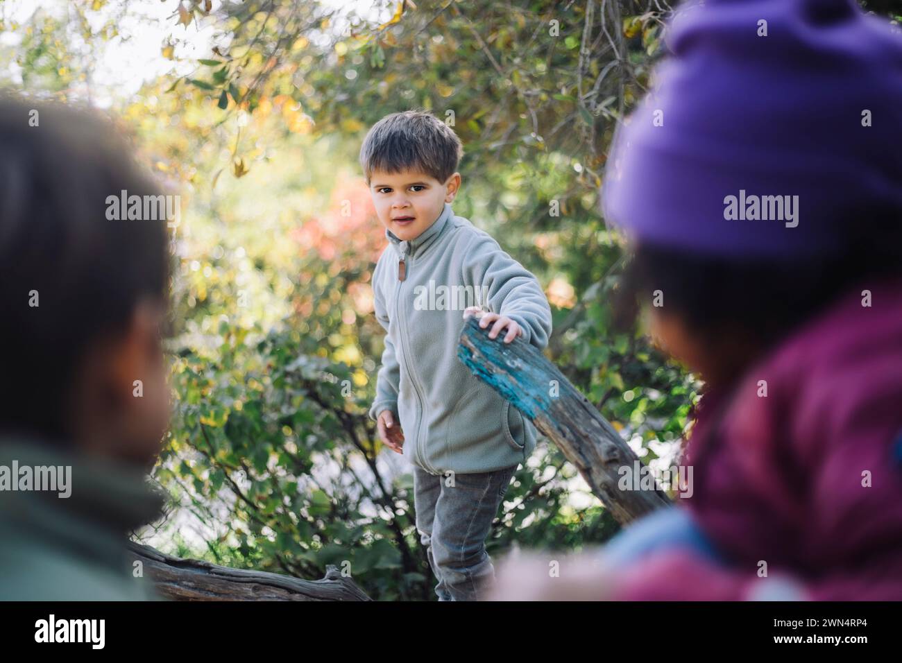 Holding tree branch hi-res stock photography and images - Alamy
