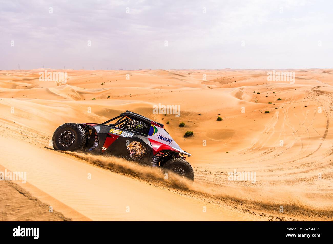 302 TIGLIA GASTALDI Marcelo (BRA), SACHS Carlos (BRA), Taurus T3 Max ...