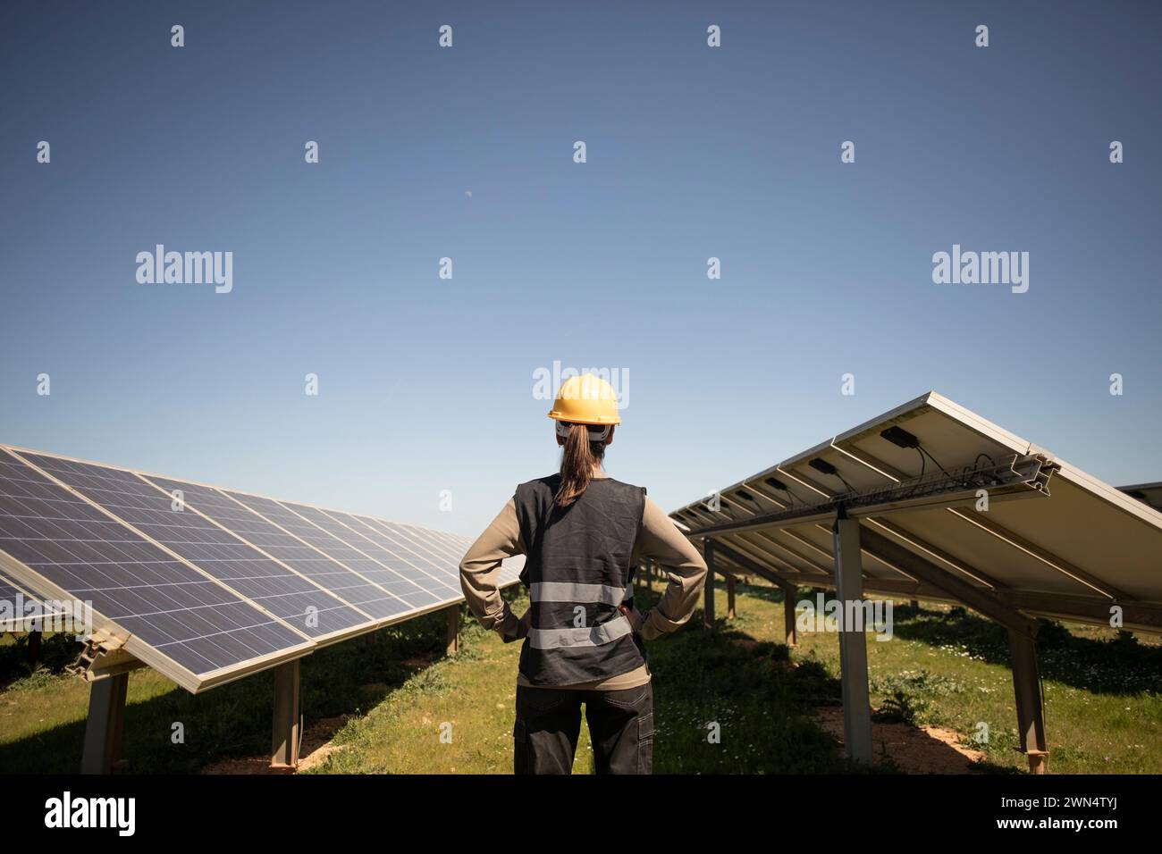 Rear view of female engineer examining solar panels while standing with ...