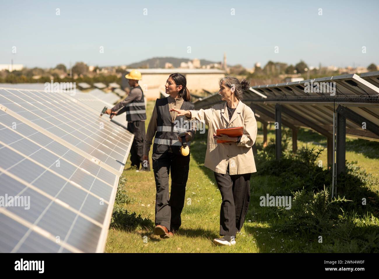 Female entrepreneur examining solar panels while walking with engineer ...