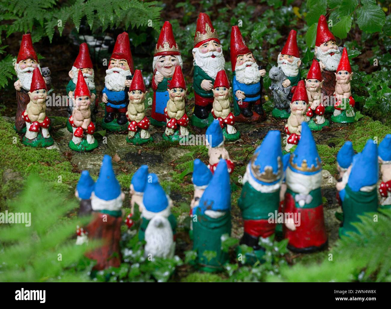 Gnome reserve hi-res stock photography and images - Alamy