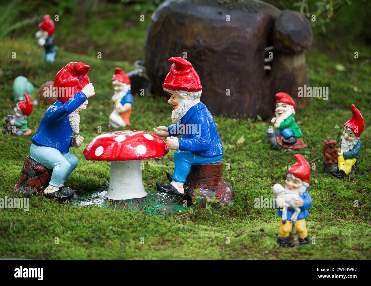 29/05/15 Toadstool table. For one group of hardy folk, today's rain ...
