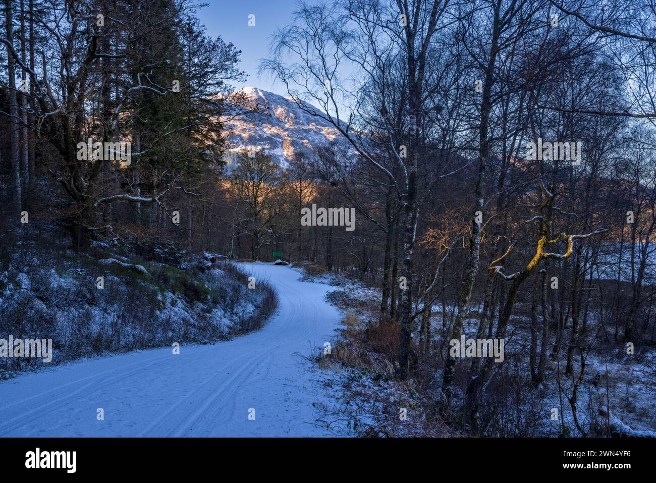 Three lochs forest hi-res stock photography and images - Alamy