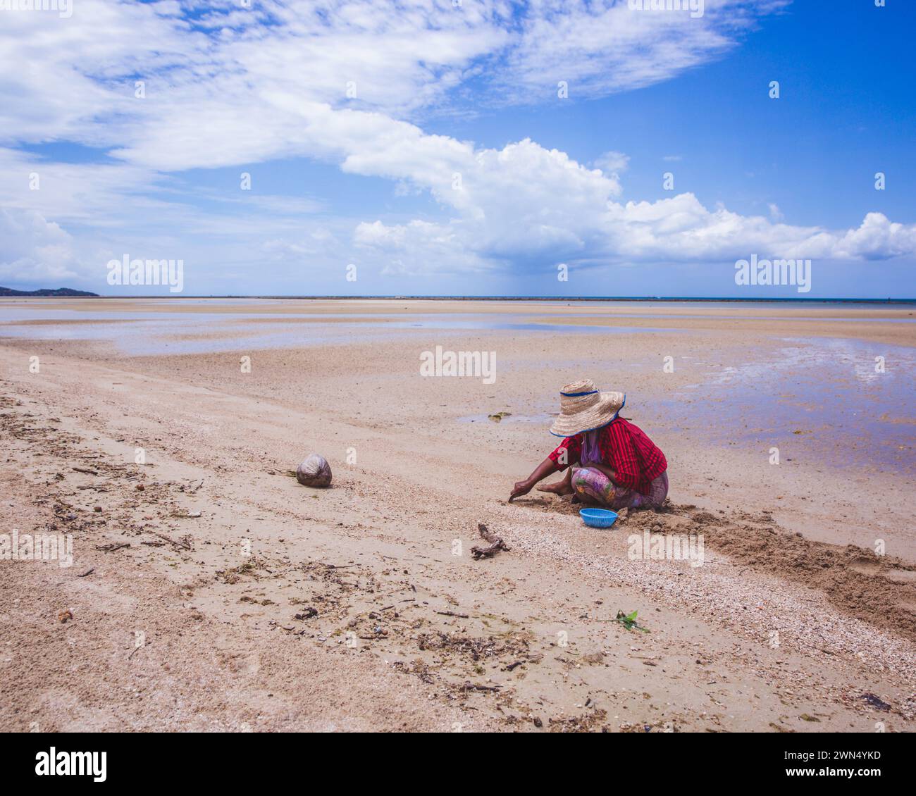 The Clam catching of the sea in the west coast of Korea. man wearing a ...