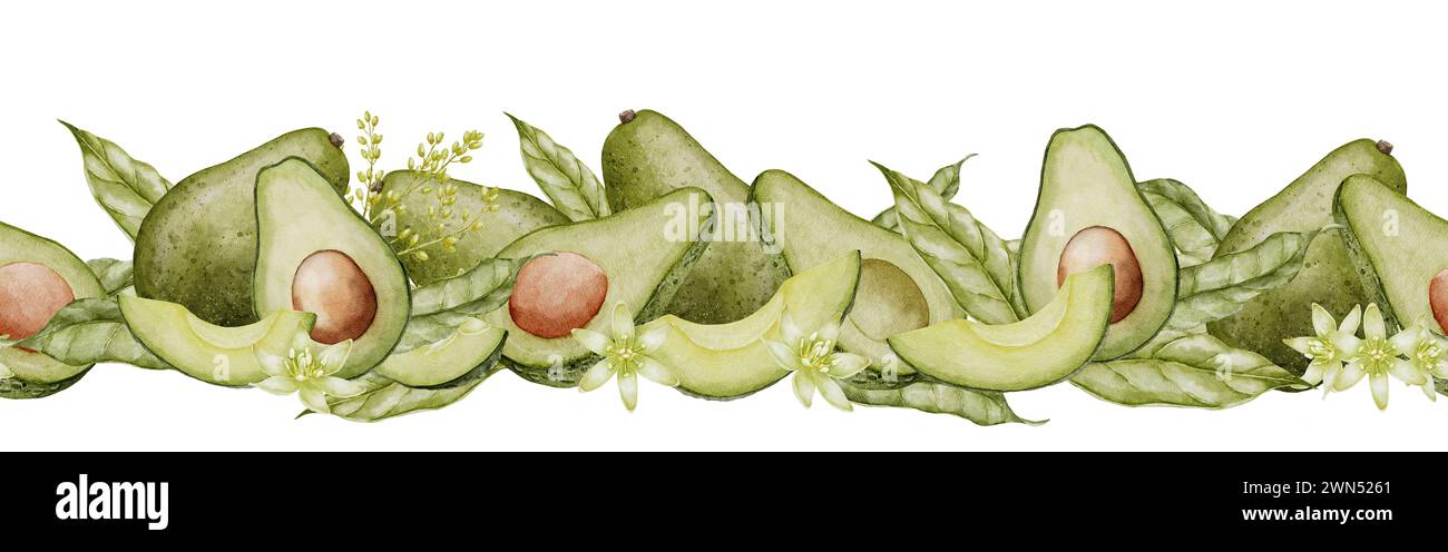 Avocado seamless Border. Watercolor Frame template. Pattern with green ...