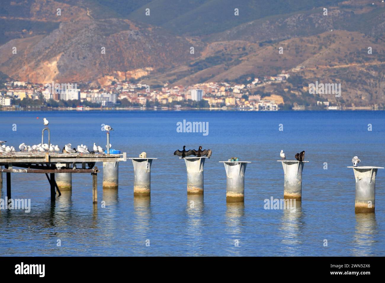 Gora albania hi-res stock photography and images - Alamy