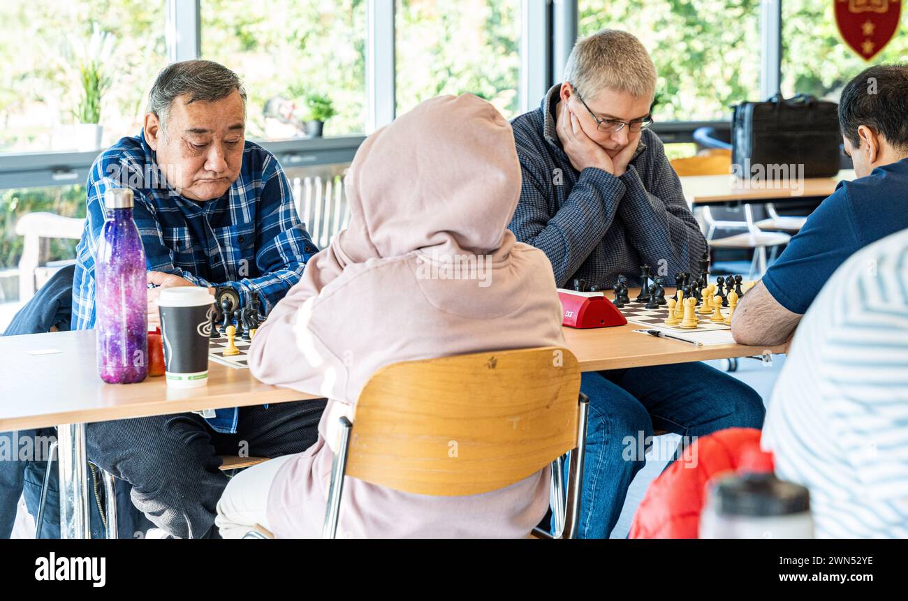 British chess hi-res stock photography and images - Alamy