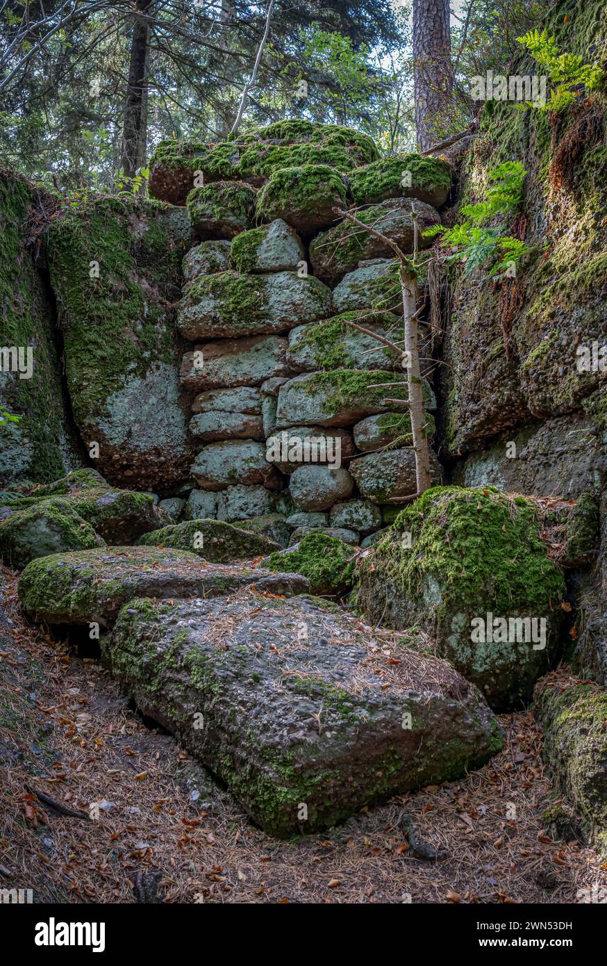 Gauls road hi-res stock photography and images - Alamy