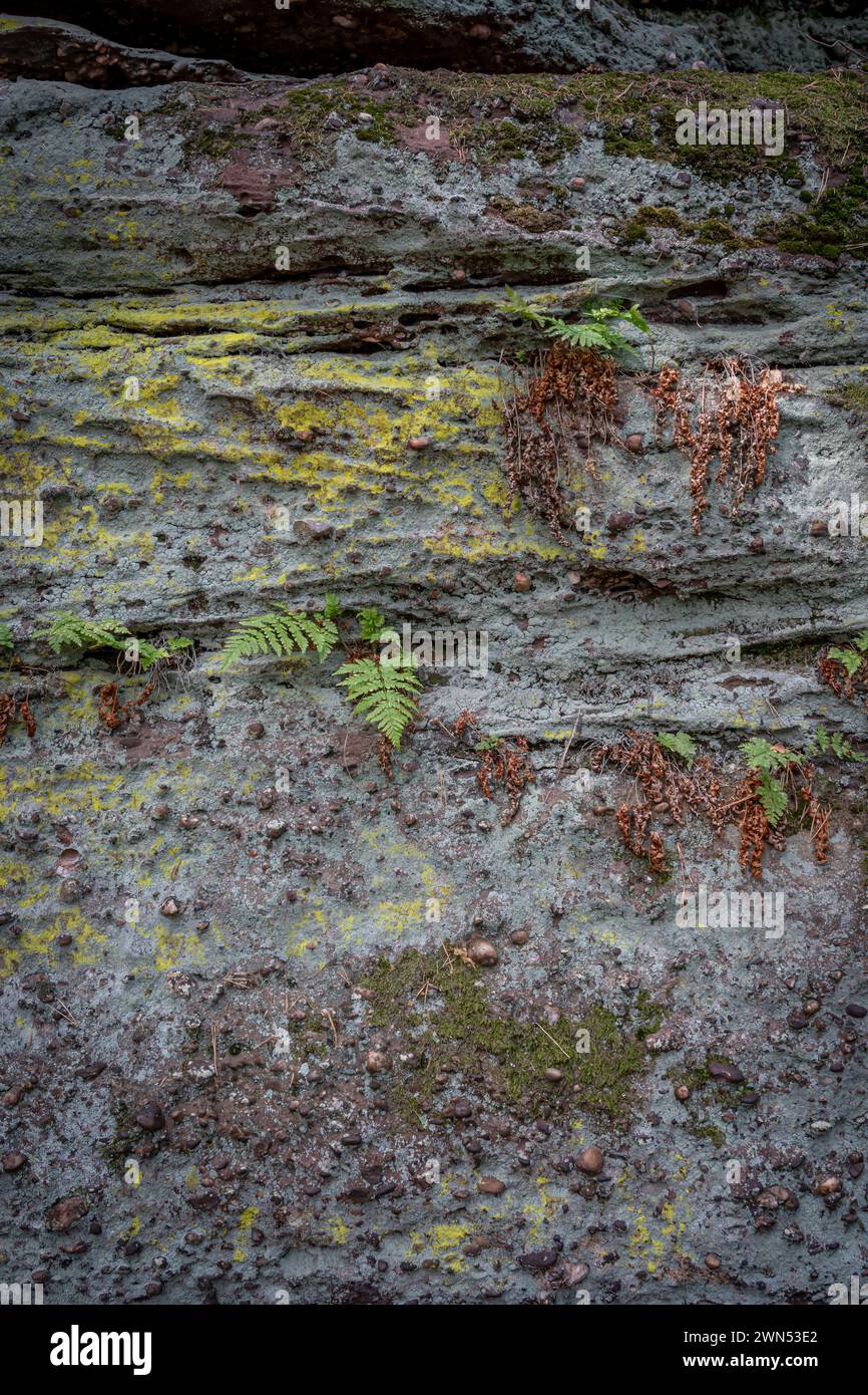 Gauls road hi-res stock photography and images - Alamy