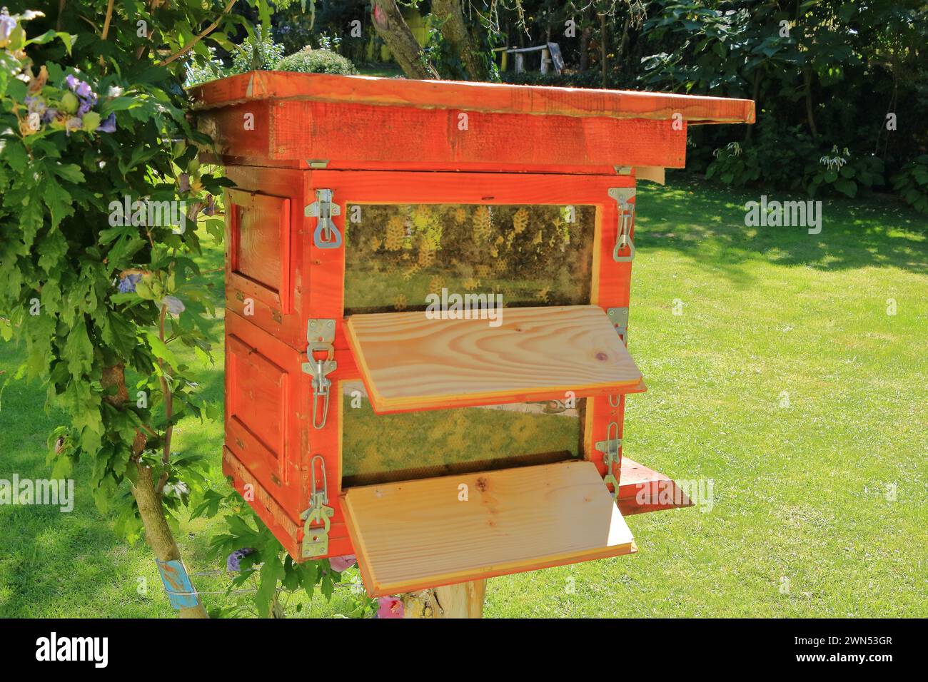 Colorful Beehives in Albania. Collection of Hives with Colonies of Bees ...