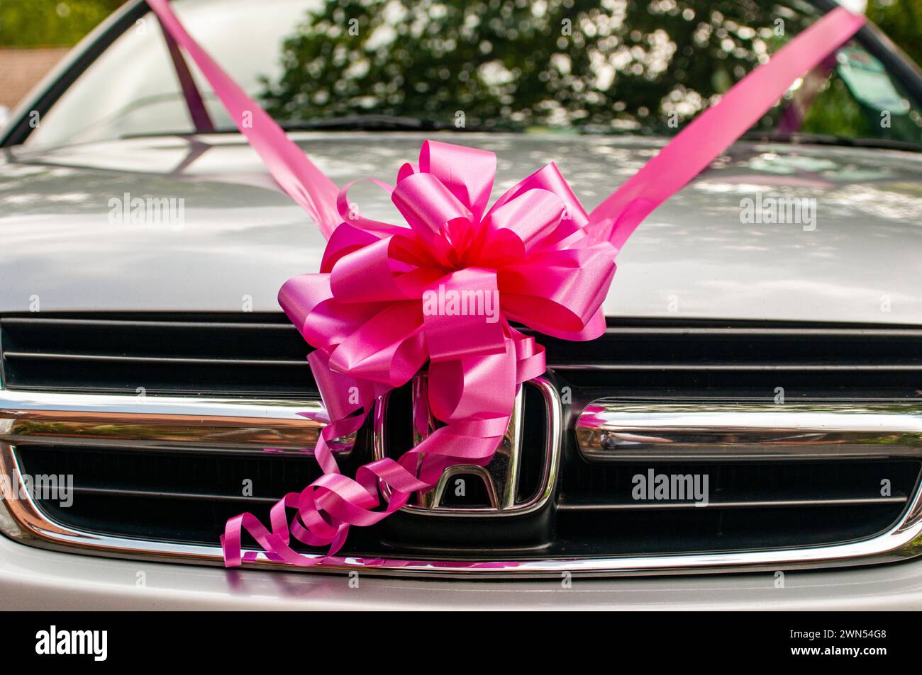 Wedding car with ribbons Stock Photo - Alamy