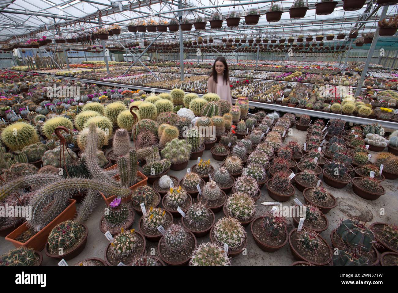10/05/16 Victoria Brannan (18) admires the cactuses. Britain’s biggest ...