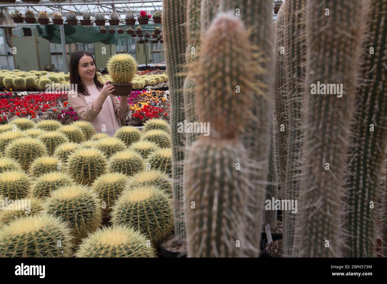 10/05/16 Victoria Brannan (18) admires the cactuses. Britain’s biggest ...