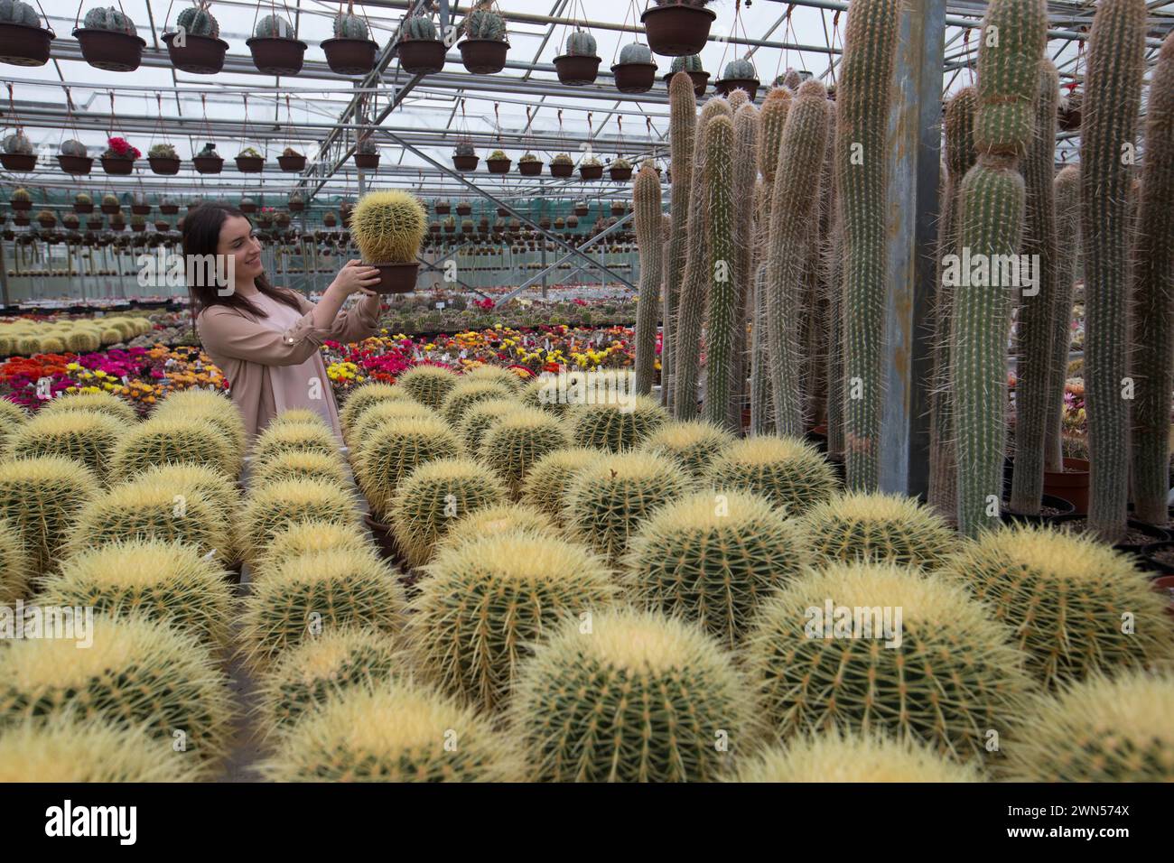 10/05/16 Victoria Brannan (18) admires the cactuses. Britain’s biggest ...
