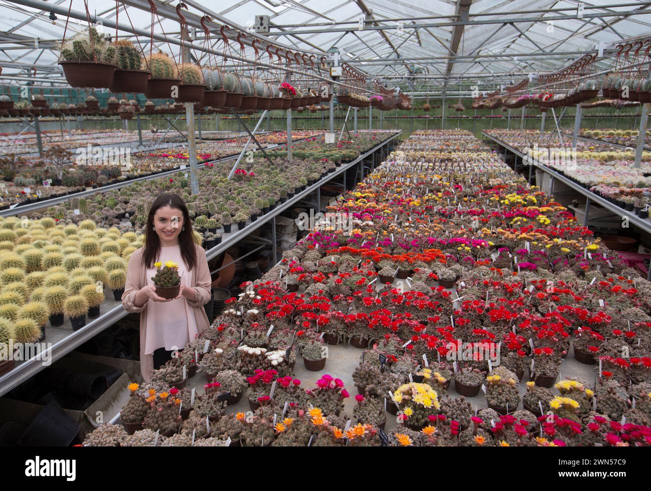 10/05/16 Victoria Brannan (18) admires the cactuses. Britain’s biggest ...