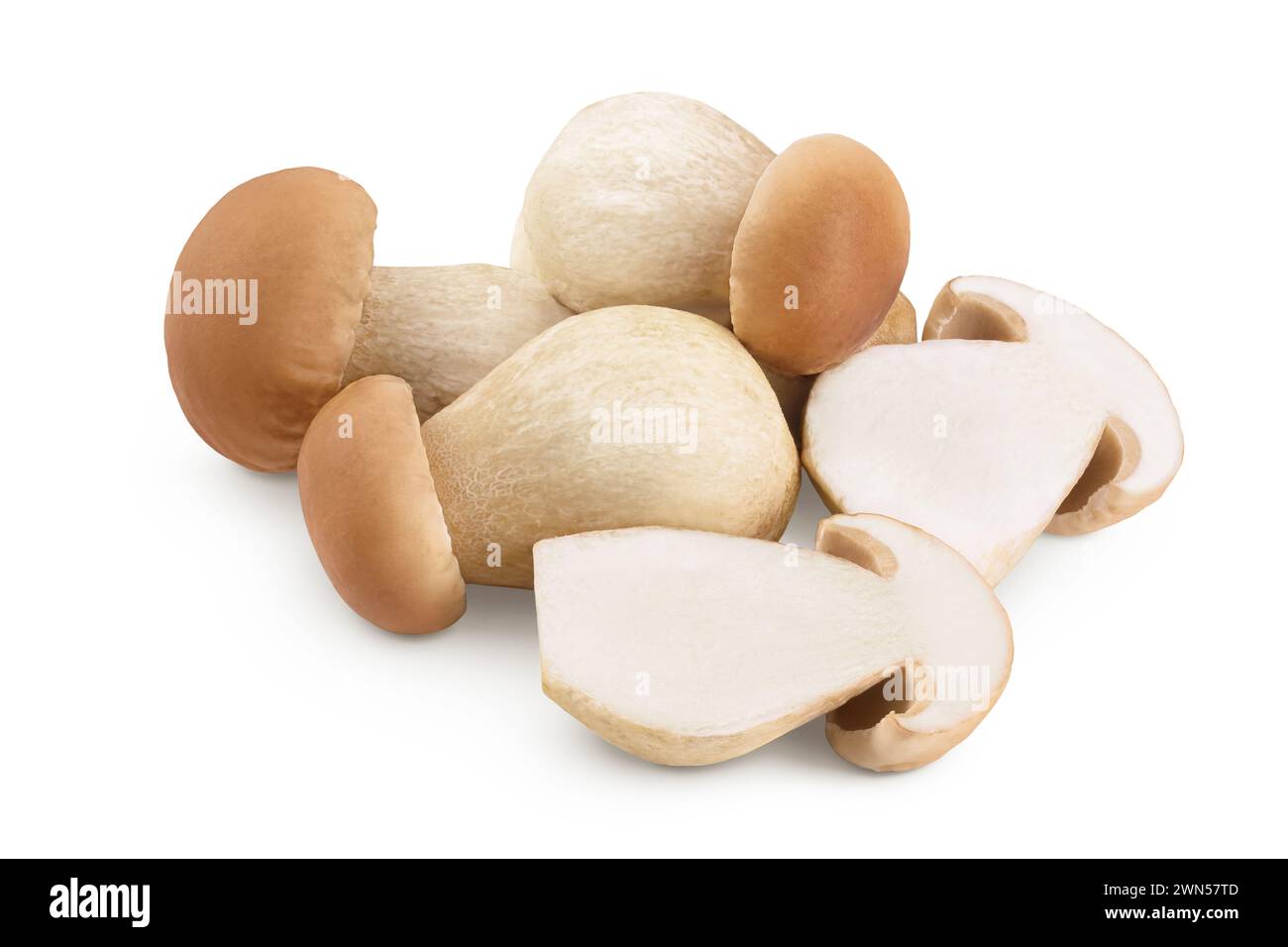 Fresh porcini cep mushroom isolated on white background with full depth ...