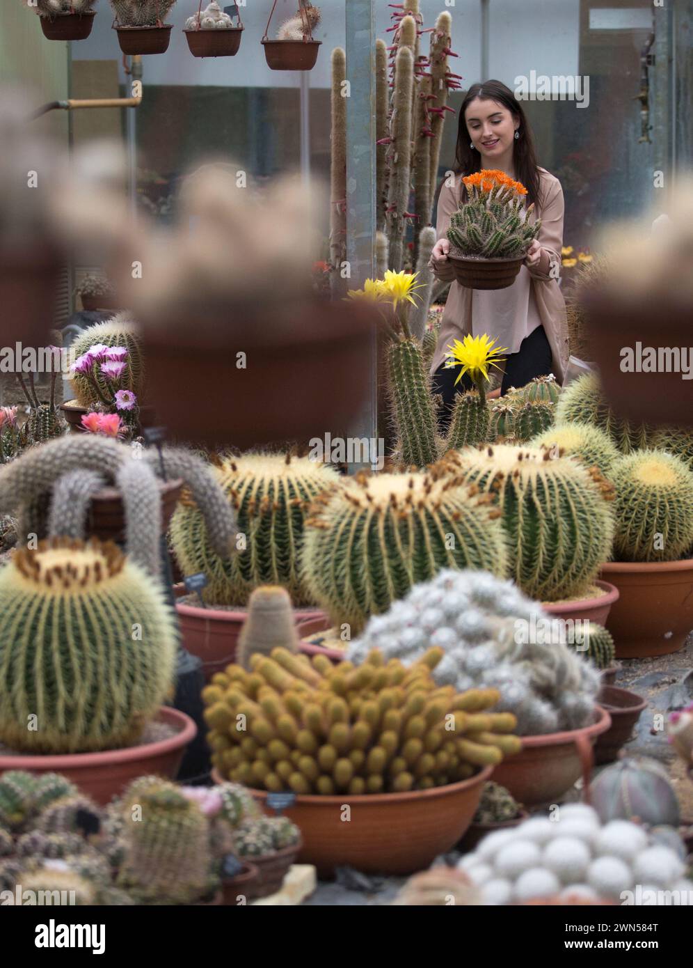 10/05/16 Victoria Brannan (18) admires the cactuses. Britain’s biggest ...