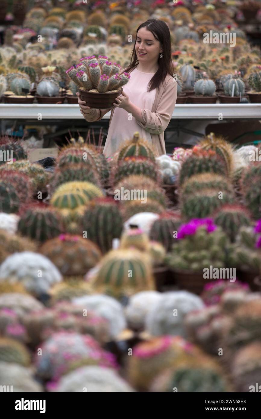 10/05/16 Victoria Brannan (18) admires the cactuses. Britain’s biggest ...