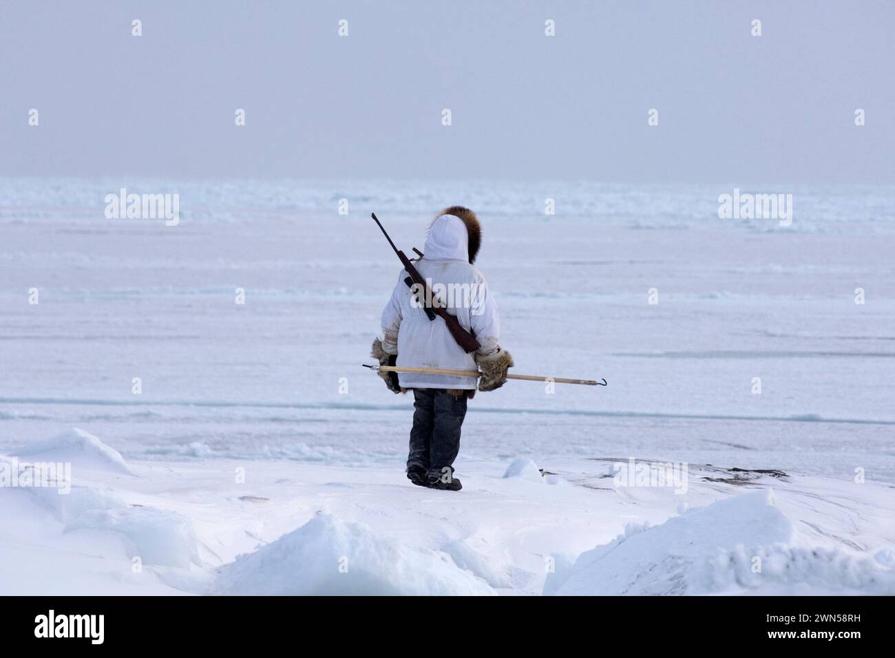 Subsistence food hunting hi-res stock photography and images - Alamy