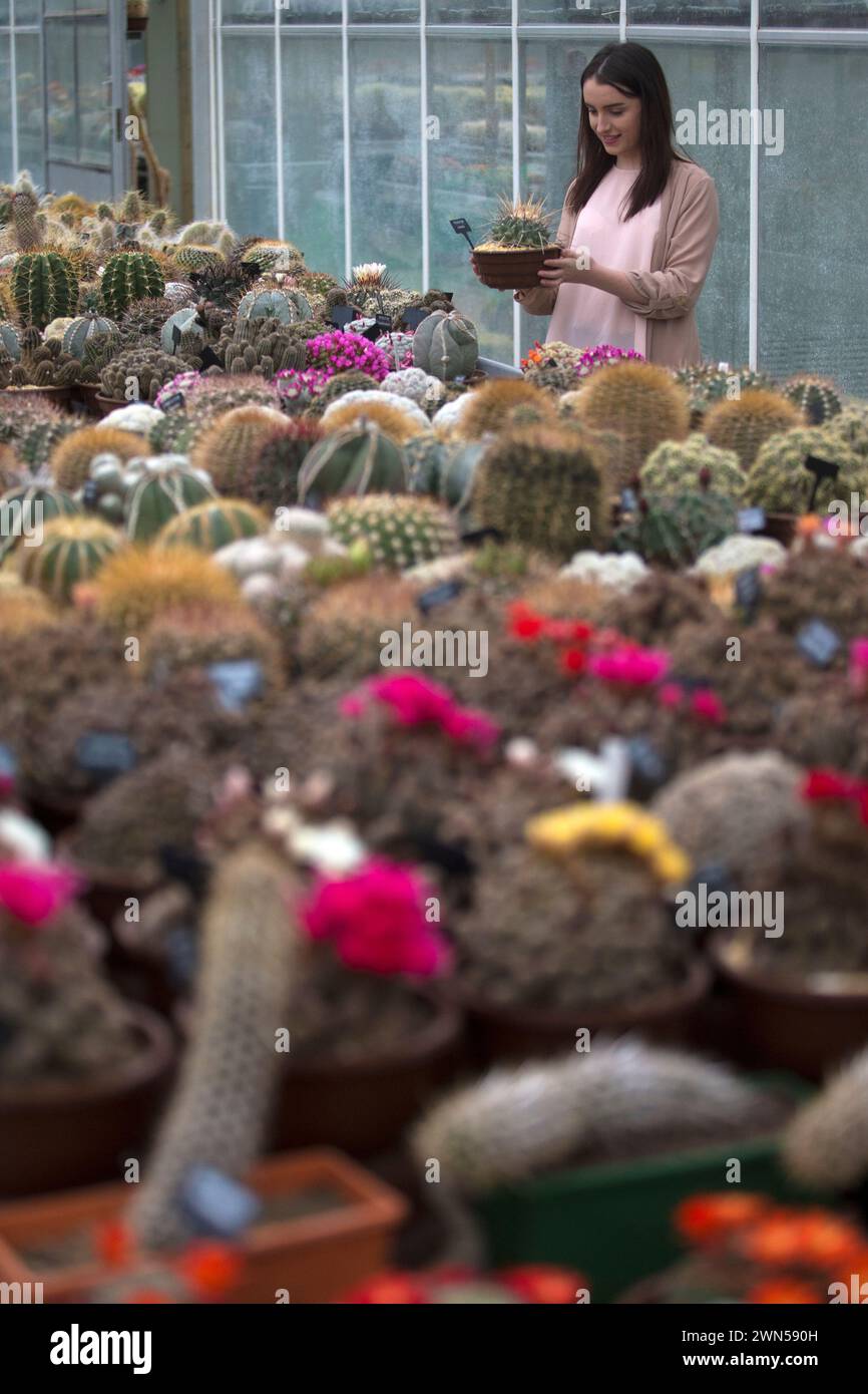 10/05/16 Victoria Brannan (18) admires the cactuses. Britain’s biggest ...