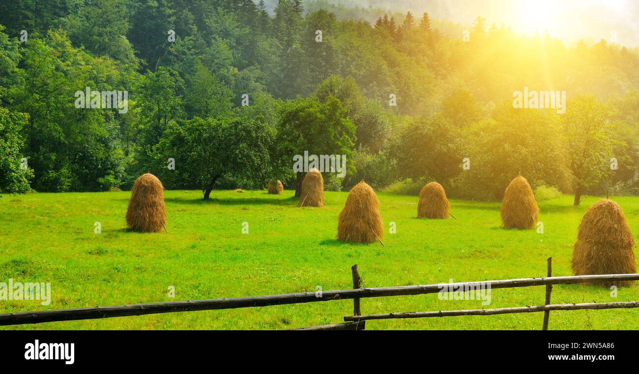 Rural landscape haystacks on hi-res stock photography and images - Alamy