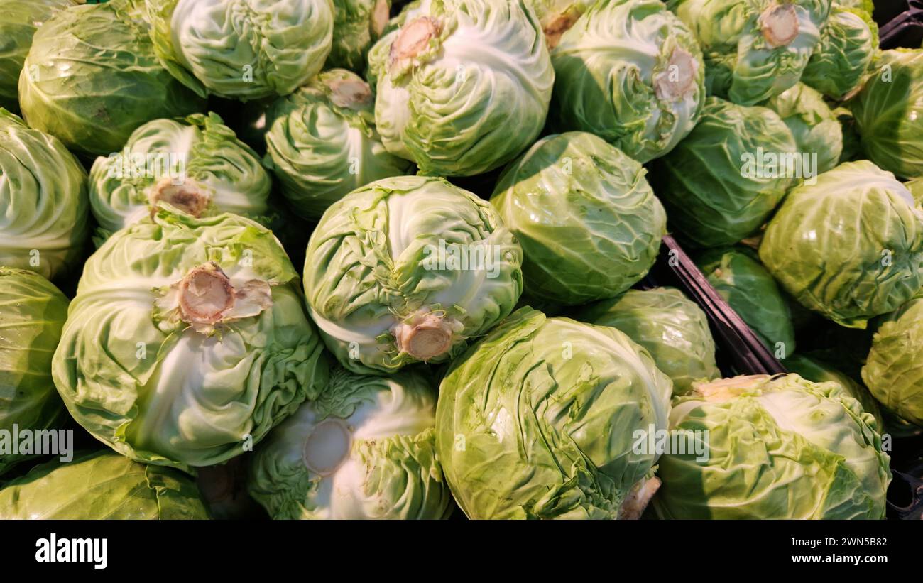 Young white cabbage in a store, close-up. A pile of cabbage on the ...
