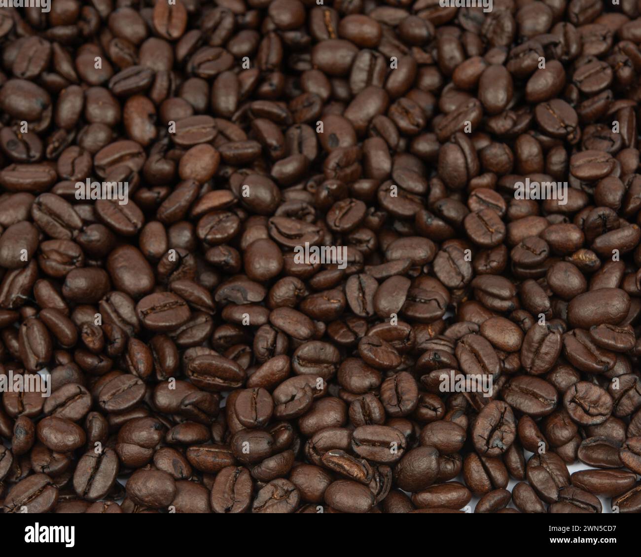 Coffee bean background. Roasted coffee beans on the entire surface ...