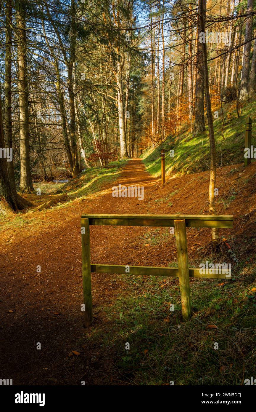 Forestry and land scotland hi-res stock photography and images - Alamy