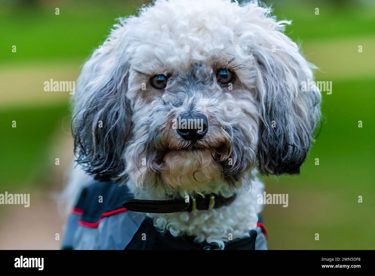 Facial view hi-res stock photography and images - Alamy