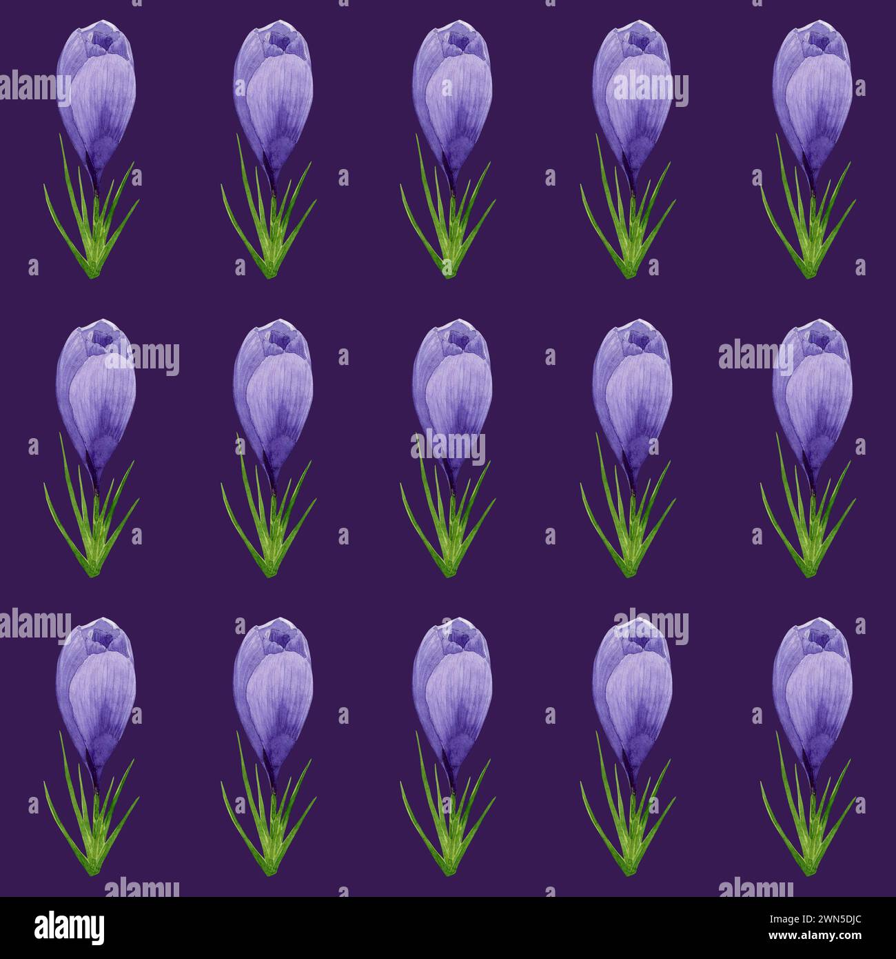 Watercolor spring crocuses seamless pattern, spring flower digital ...
