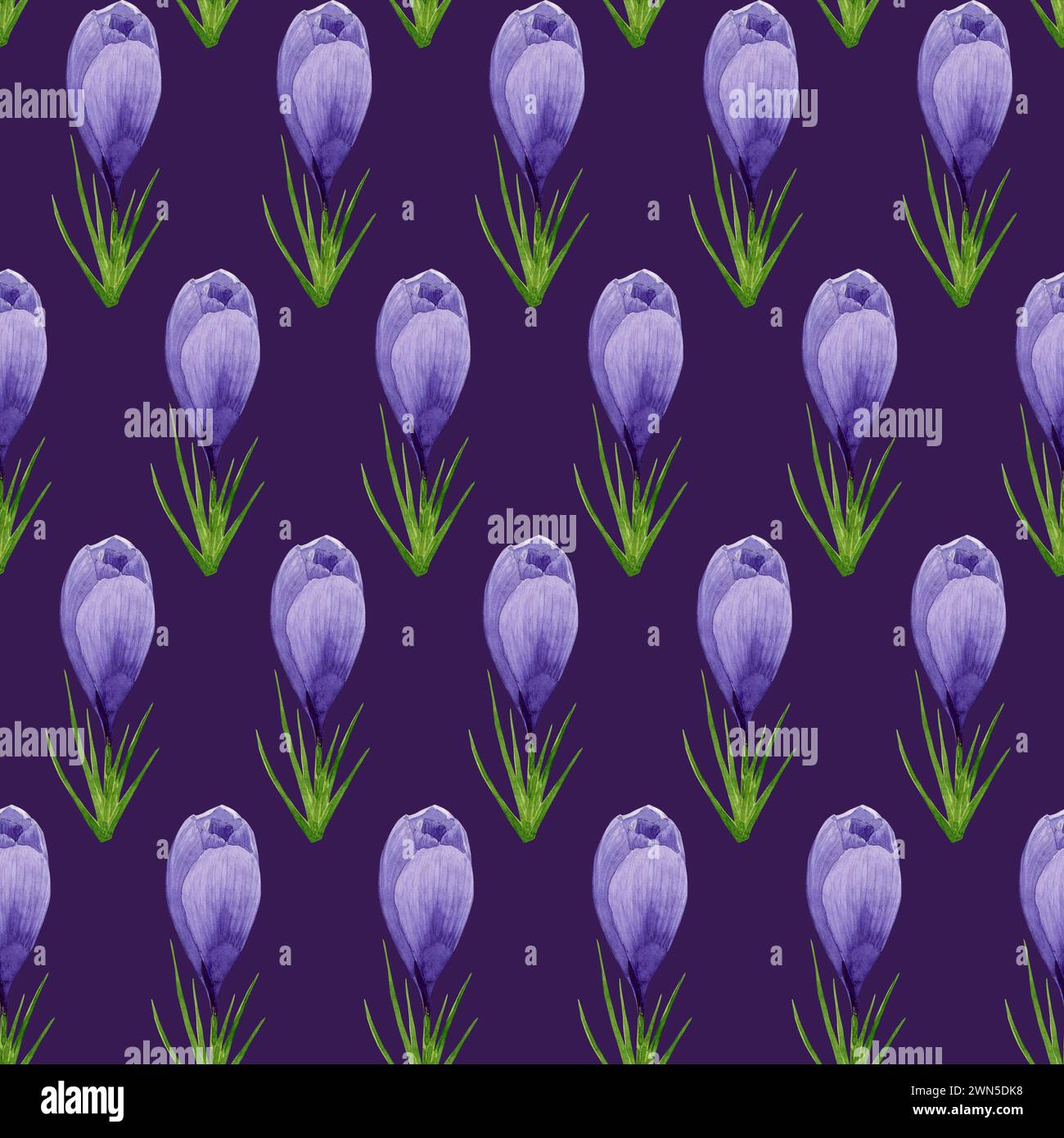 Watercolor spring crocuses seamless pattern, spring flower digital ...
