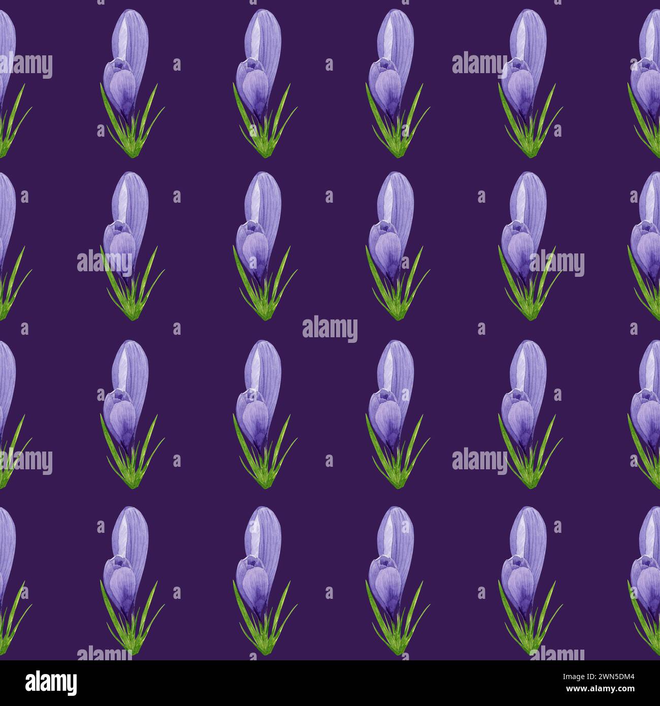 Watercolor spring crocuses seamless pattern, spring flower digital ...