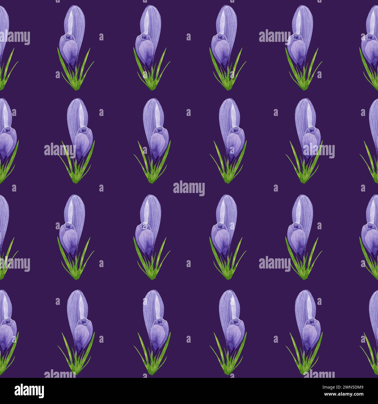 Watercolor spring crocuses seamless pattern, spring flower digital ...