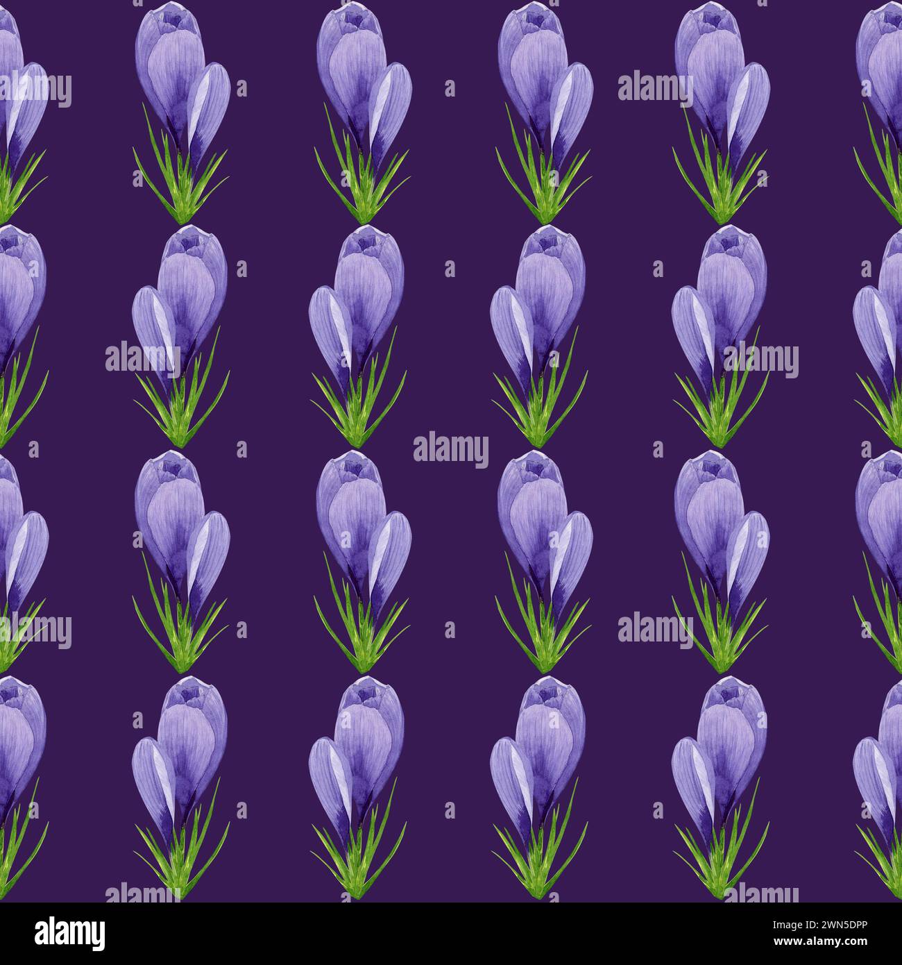 Watercolor spring crocuses seamless pattern, spring flower digital ...