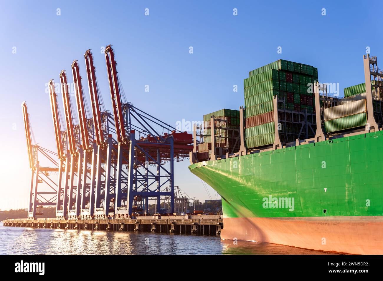 Evergreen container lights hi-res stock photography and images - Alamy