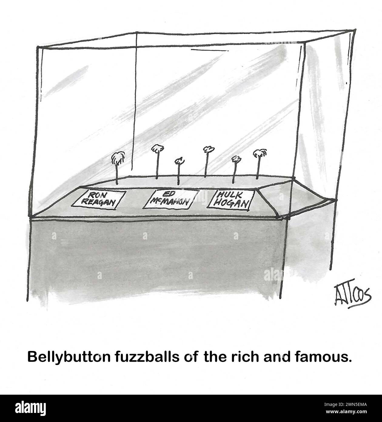 Belly button in hi-res stock photography and images - Alamy