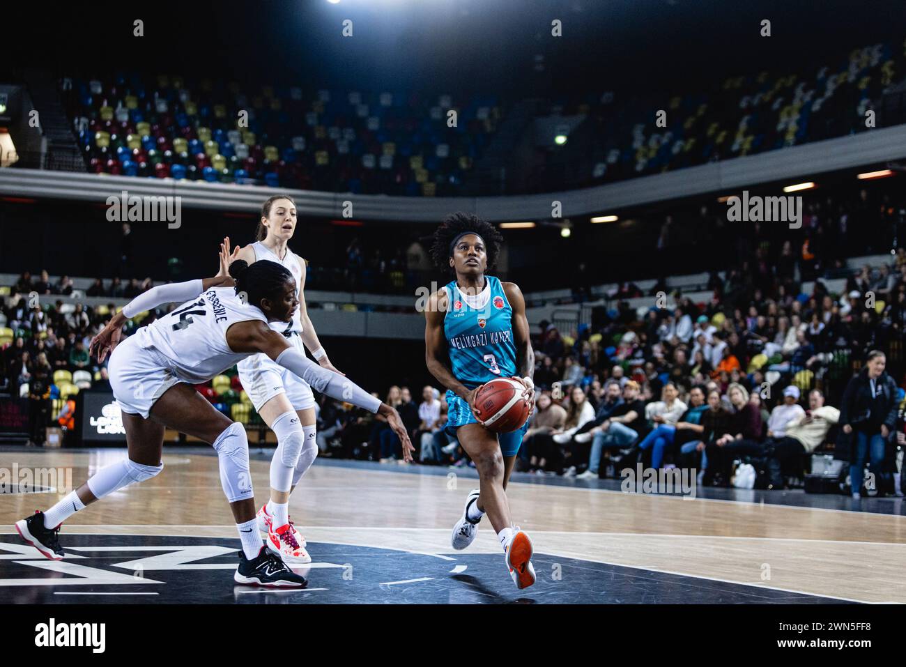 Aaryn ellenberg hi-res stock photography and images - Alamy