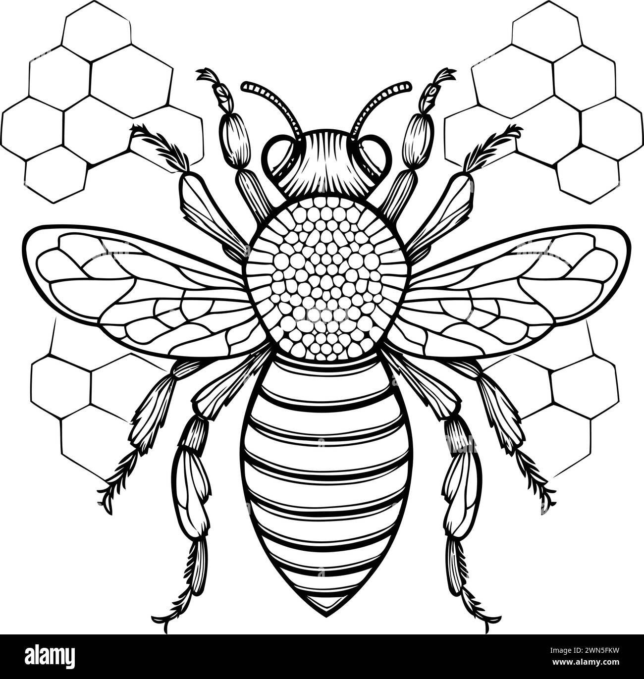 Honeycomb book hi-res stock photography and images - Alamy