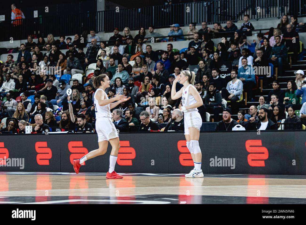 London lions abby meyers hi-res stock photography and images - Alamy