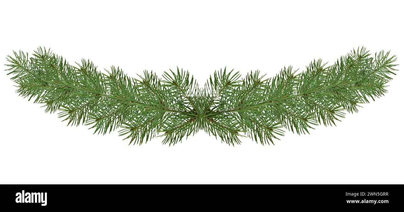 Winter holidays card fir Cut Out Stock Images & Pictures - Alamy