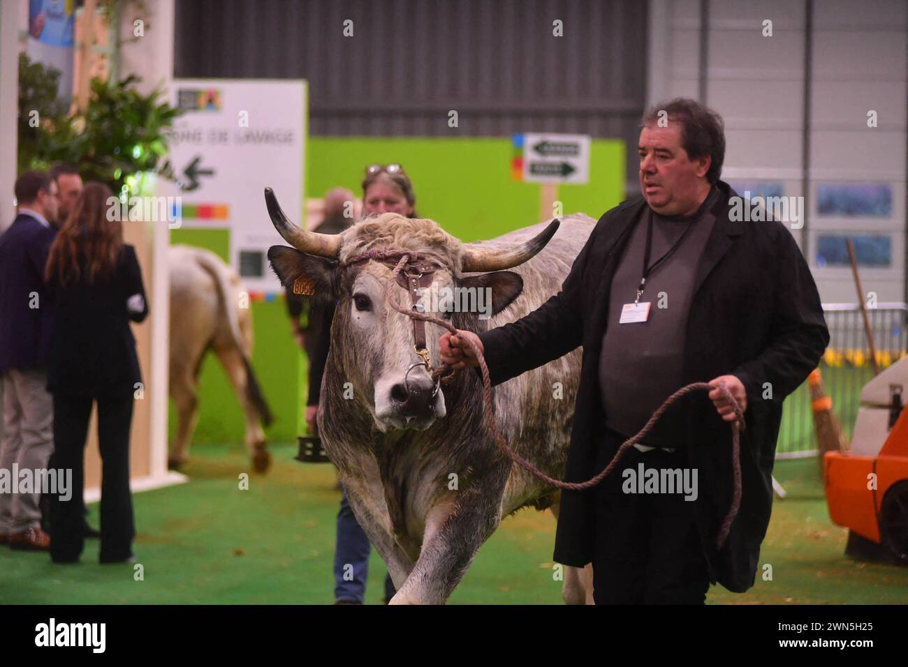 Sia 2024 hi-res stock photography and images - Alamy