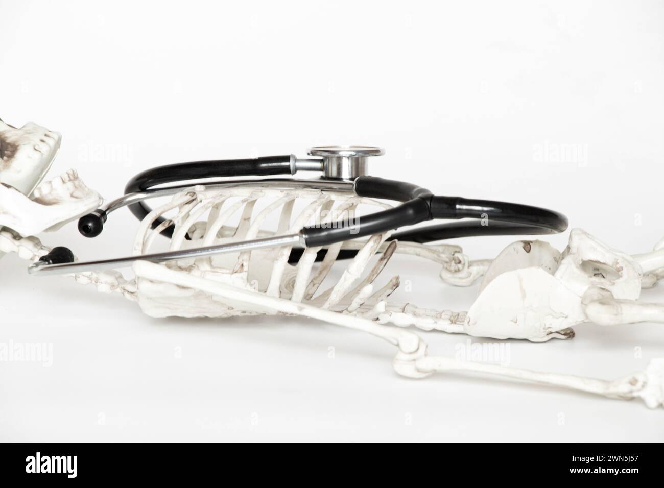 A stethoscope lies on a skeleton on a light background, close-up ...